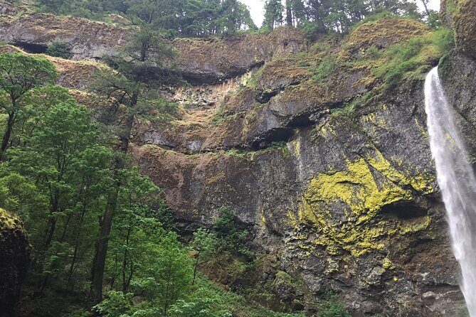 Explore Columbia River Gorge Half-Day Small-Group Hiking Tour - Exploring the Columbia River Gorge Half-Day Small-Group Hiking Tour: A Practical Review