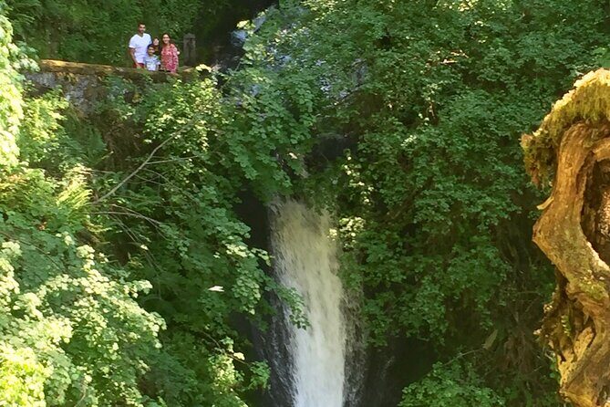 Explore Columbia River Gorge Half-Day Small-Group Hiking Tour - Who Should Take This Tour?