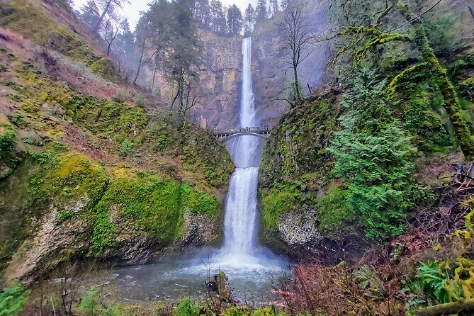 Explore Columbia River Gorge Half-Day Small-Group Tour - The Sum Up: Who Should Take This Tour?