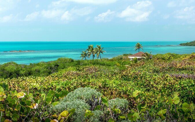 Explore Contoy Island - An In-Depth Look at the Experience