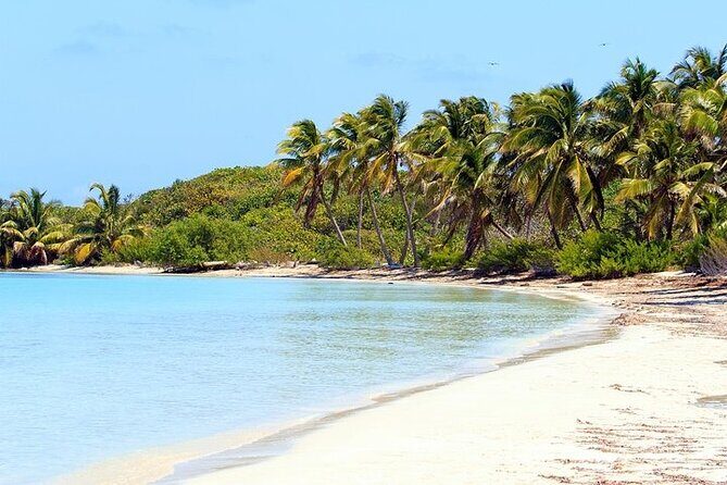 Explore Contoy Island - What Past Travelers Say