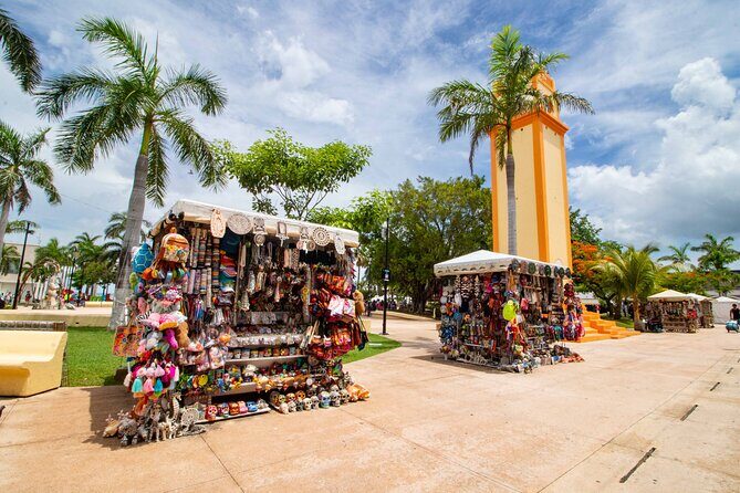 Explore Cozumel your Way Private Island Tour with Pro Guide - A Detailed Look at the Tour