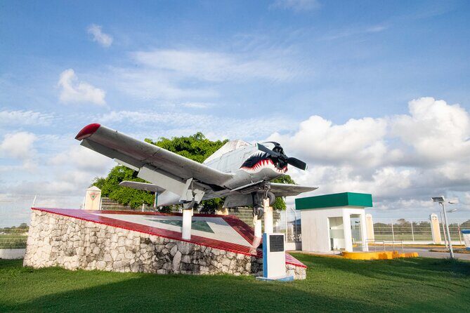 Explore Cozumel your Way Private Island Tour with Pro Guide - Who Should Consider This Tour?