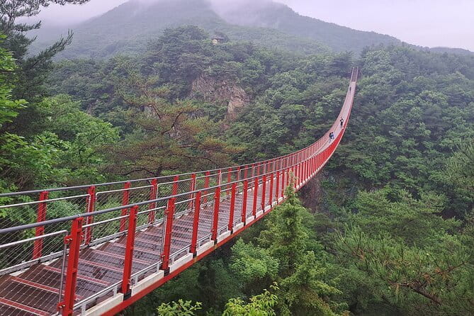Explore DMZ from Seoul with Gondola and Suspension Bridge Option - Key Points