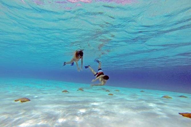 Explore El Cielo in Cozumel. Snorkel in 3 different reefs & visit Cielito Beach. - Who Should Consider This Tour?