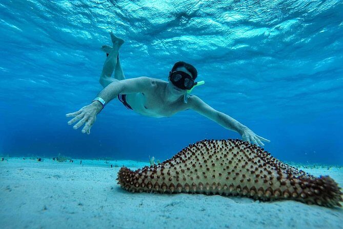 Explore El Cielo in Cozumel. Snorkel in 3 different reefs & visit Cielito Beach. - FAQ: Your Questions Answered