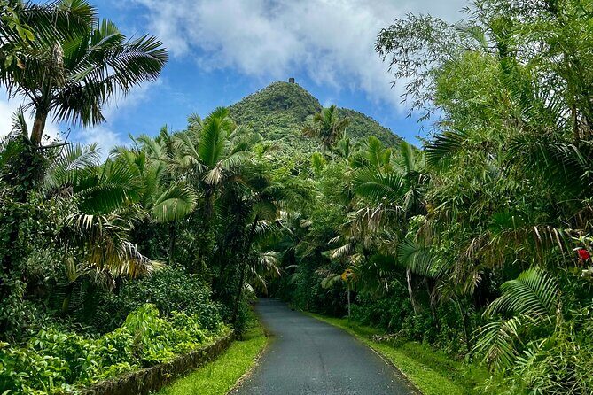 Explore El Yunque National Forest Guided Nature Adventure - Final Thoughts