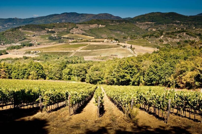 Explore Elegance: Savor 3 Exquisite Wines at Tenuta Bossi - Exploring the Elegance of Tenuta Bossi: A Wine Tour Worth Savoring
