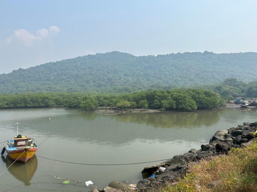 Explore Elephanta Caves Tour - Introduction