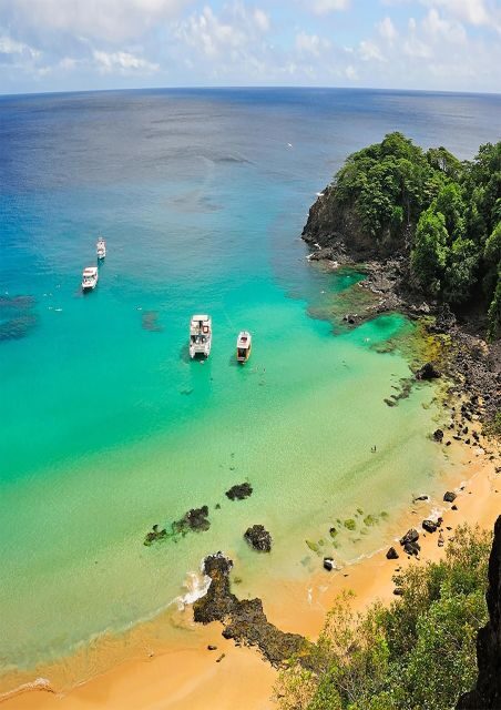 Explore Fernando de Noronha: 7-Hour Ilhatour - Key Points