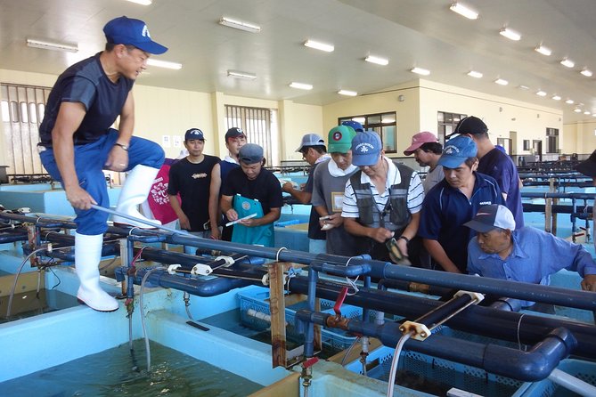 Explore Fishermen Island in Japan(Ise-Shima) - Accessibility Features