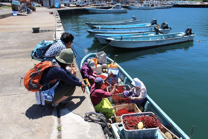 Explore Fishermen Island in Japan(Ise-Shima) - Customer Experience Feedback