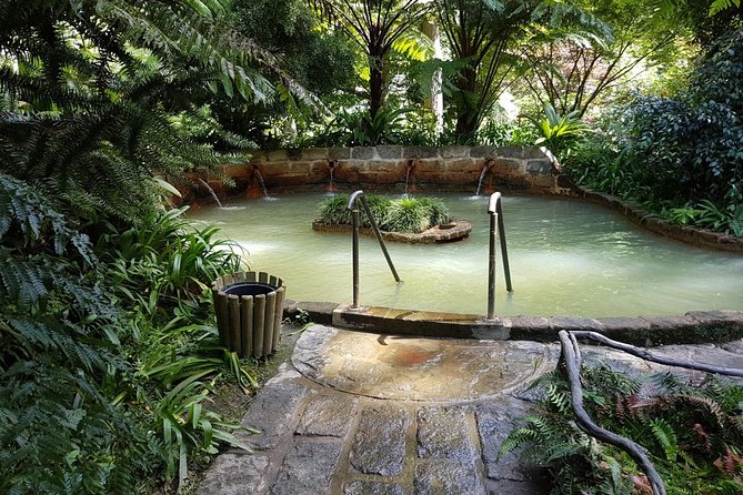 Explore Furnas by Van - Full Day Tour With Lunch and Thermal Baths - Booking and Cancellation Policies