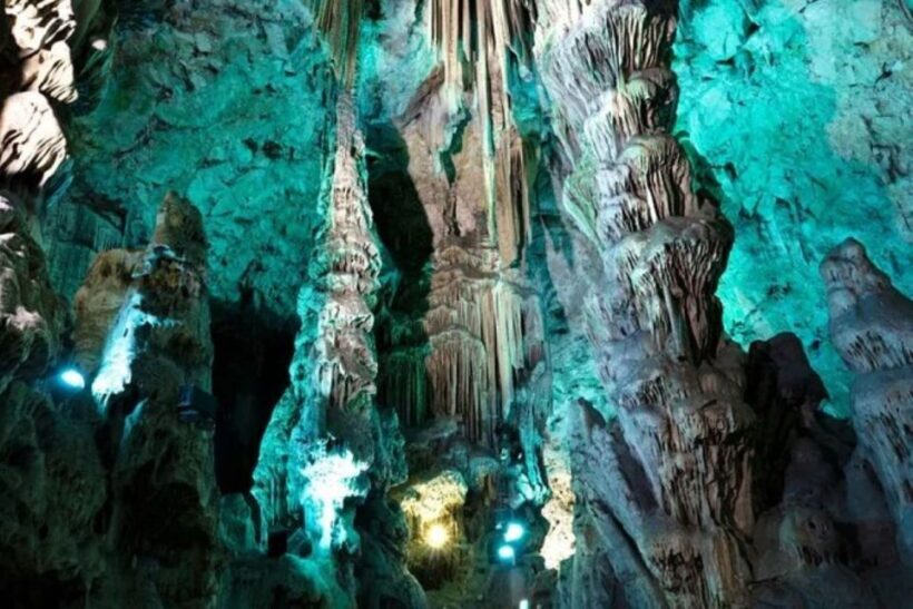 Explore Gibraltar with a Private Guide from Malaga. - Who Is This Tour Best For?