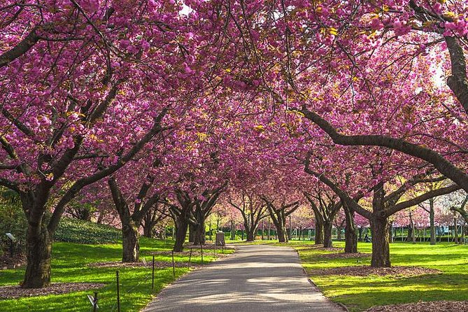 Explore Gilgit Baltistan Epic Jeep Safari and Cultural Adventure - Key Points