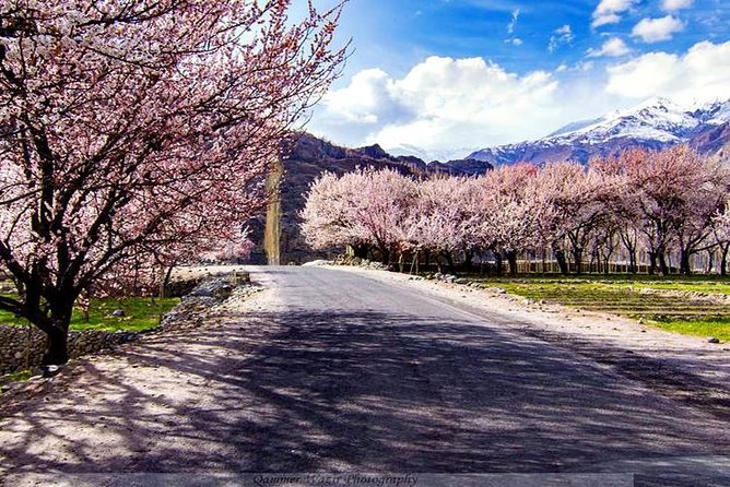 Explore Gilgit Baltistan Epic Jeep Safari and Cultural Adventure - Thorough Breakdown of the Itinerary