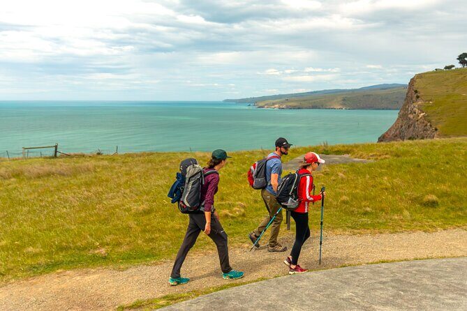 Explore Godley Head, Lyttelton & Christchurch (Small Group Tour) - Exploring Godley Head, Lyttelton & Christchurch: A Detailed Review
