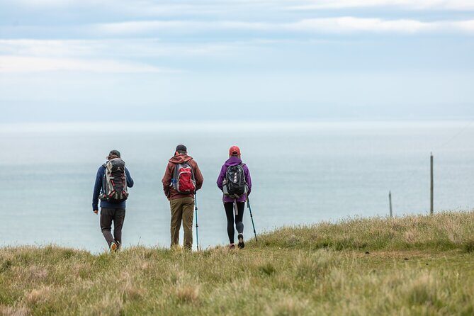 Explore Godley Head, Lyttelton & Christchurch (Small Group Tour) - Who Should Consider This Tour?