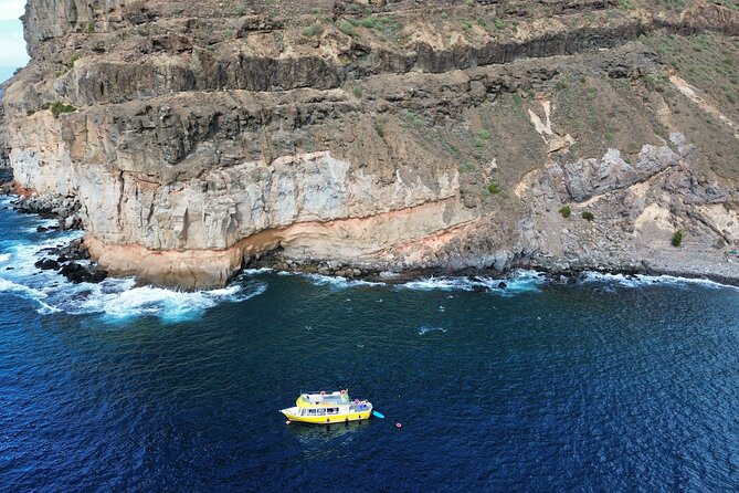 Explore Gran Canaria: 3h Boat Tour With Wine & Local Food Tasting - Participant Capacity and Accessibility