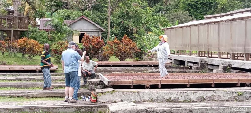 Explore Grenada's Magic: Private Spice Island Tour - Final Thoughts