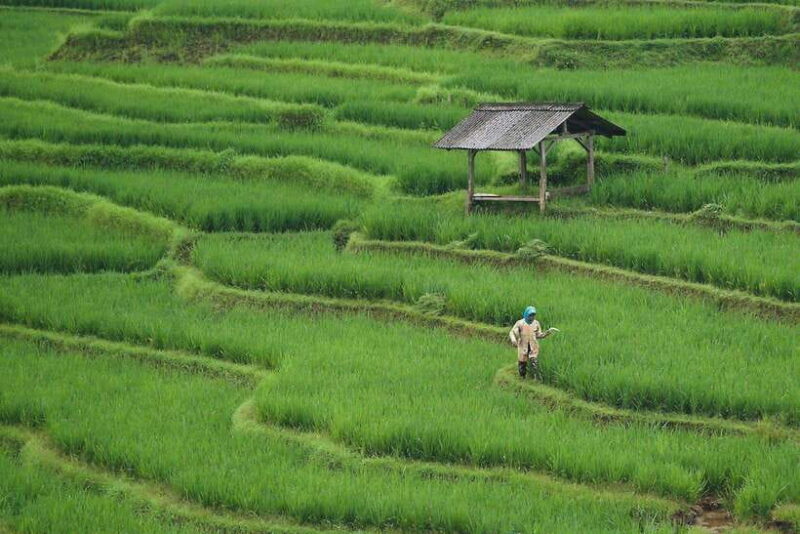 EXPLORE HA GIANG- MA PI LENG - NHO QUE RIVER 3 DAYS 2 NIGHTS - Key Points