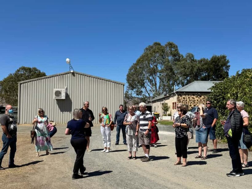 Explore Hahndorf & Barossa Valley (incl lunch and tastings!) - A Thorough Look at the Itinerary and Highlights