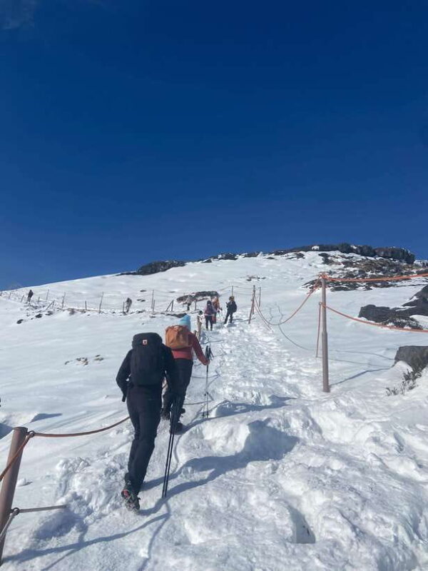 Explore Hallasan:Yeongsil Course Hiking Experience(Beginner) - Authenticity and Experience