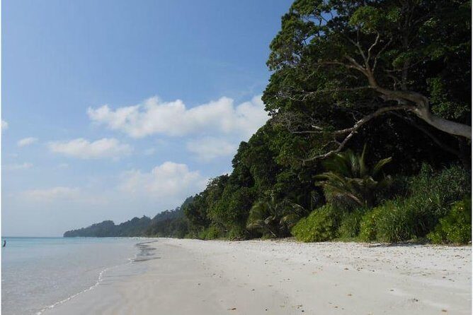 Explore Havelock Island From Port Blair - Who Will Appreciate This Tour?
