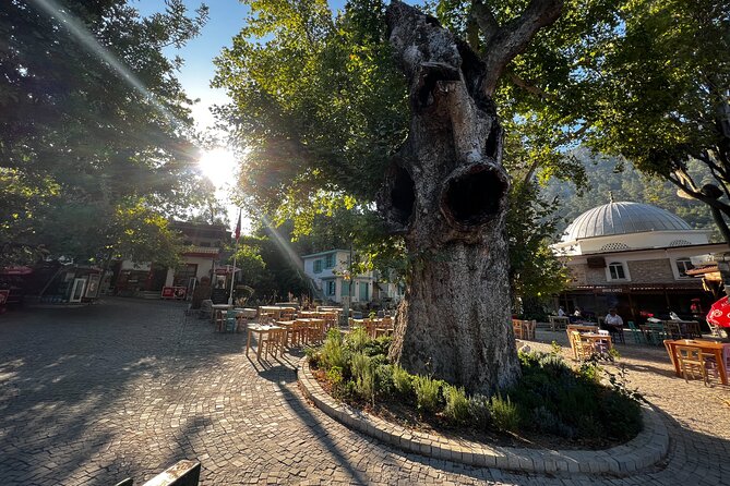 Explore Hidden Gems of Marmaris and Peninsula - Accessibility and Flexibility