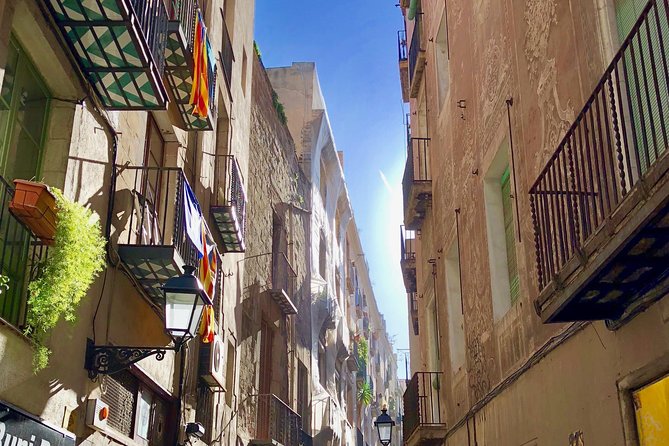 Explore Hidden Streets of Barcelona With a Local - Navigating the Tours Accessibility and Scheduling Options