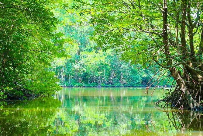 Explore Ho Chi Minh City with Private Walking and Jeep Tour - What Past Participants Say