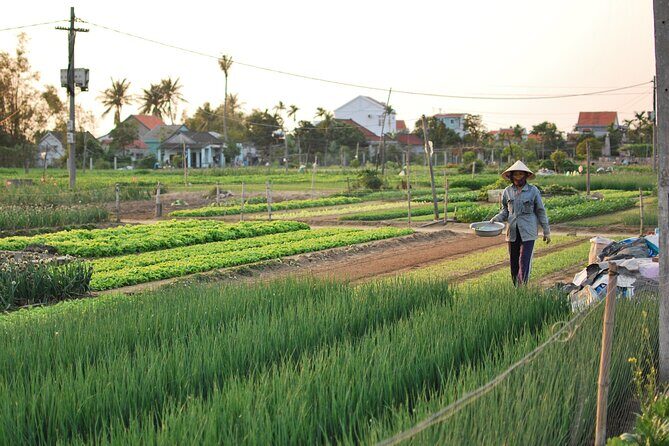 Explore Hoi An city or Da nang city with local guide - Final Thoughts