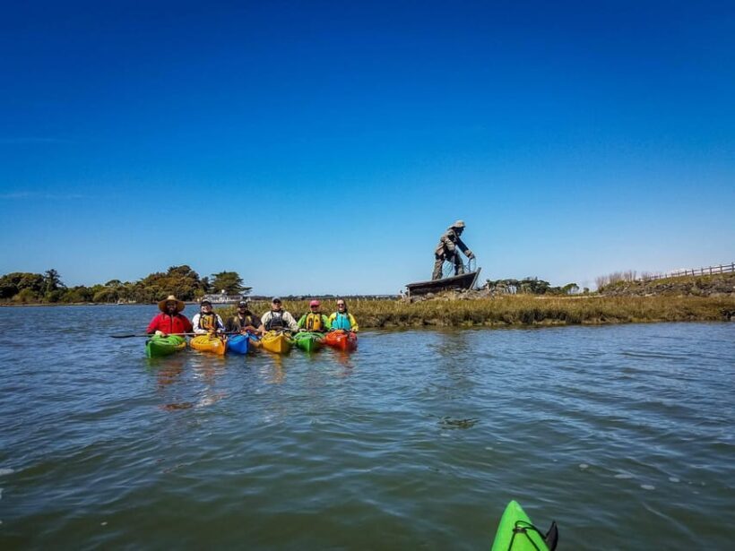 Explore Humboldt Bay by Kayak - A Deep Dive into the Humboldt Bay Kayak Experience