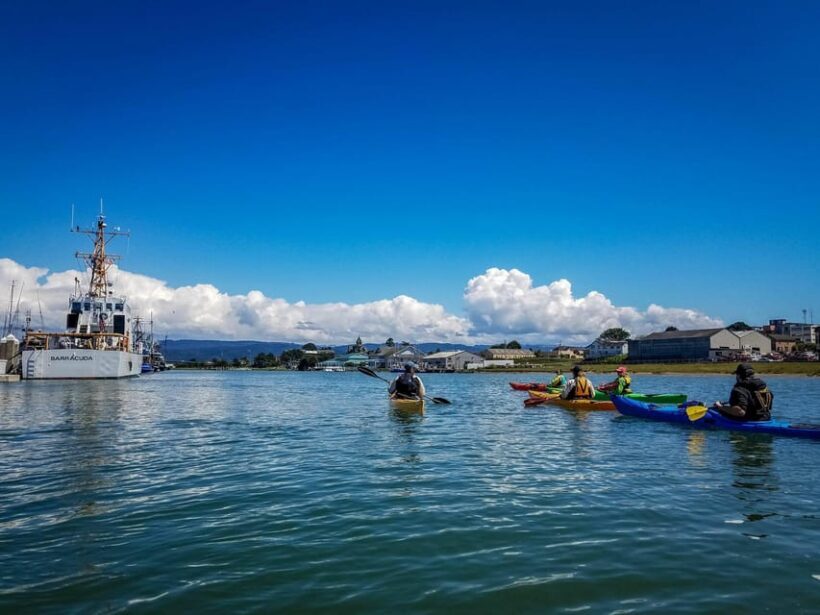 Explore Humboldt Bay by Kayak - The Sum Up: Why Choose This Tour?