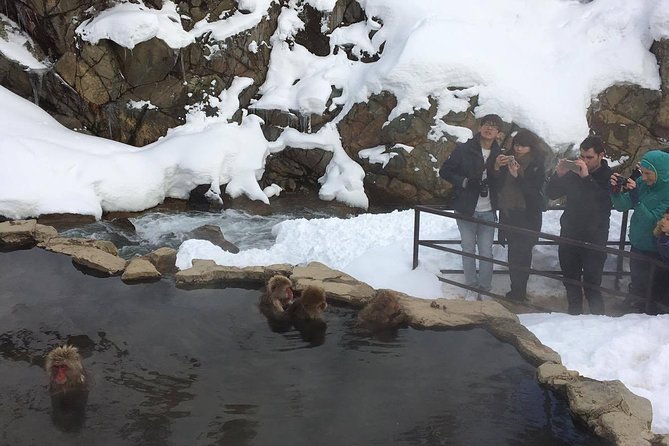 Explore Jigokudani Snow Monkey Park With a Local Guide - Indulging at the Enza Cafe & Ramen Enza