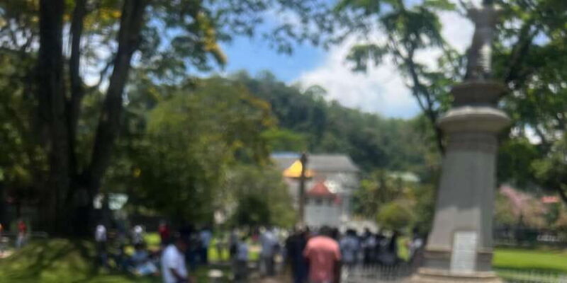 Explore Kandy City Tour by Tuk Tuk - Summary: Who Will Love This Tour?