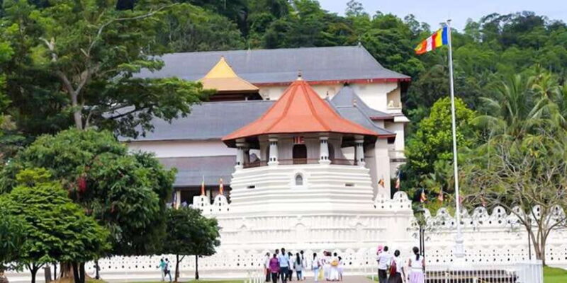 Explore Kandy, Pinnawala, and Tea Plantation from Kandy - Key Points