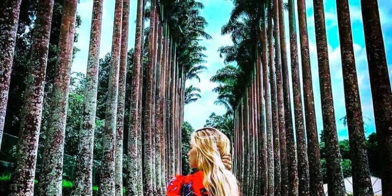 Explore Kandy, Pinnawala, and Tea Plantation from Kandy - Authentic Experiences and Authenticity