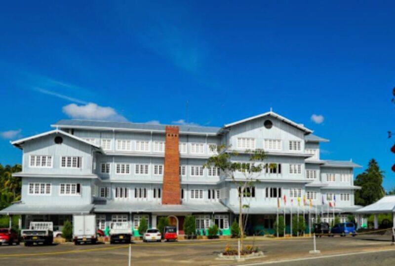 Explore Kandy, Pinnawala, and Tea Plantation from Kandy - Final Thoughts