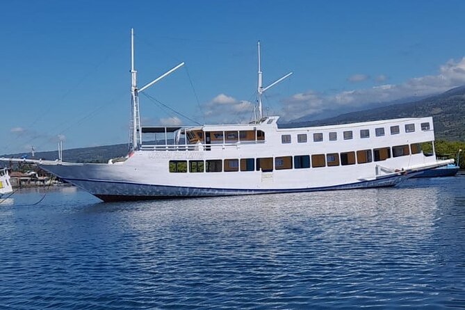 Explore Komodo and Swim with Whale Sharks - Practical Aspects and Value