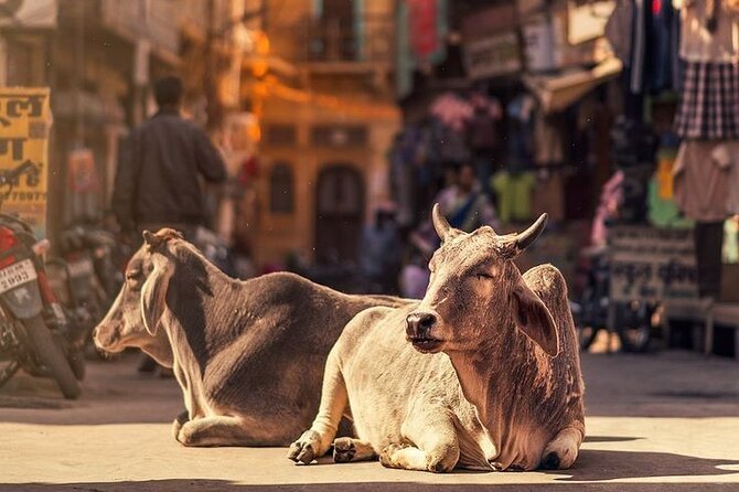 Explore Local Experience Jaipur Sightseeing Tour by Car + Guide - Booking Information and Cancellation Policy