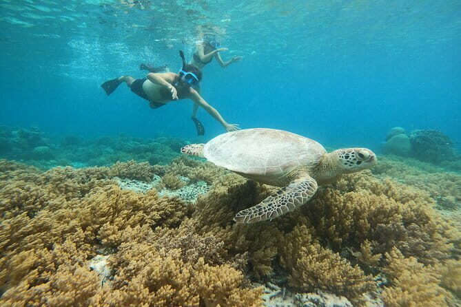 Explore Lombok's Pink Beach and Snorkeling - FAQ