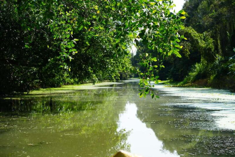 Explore Lung Ngoc Hoang in Hau Giang - Why Prices Reflect Good Value