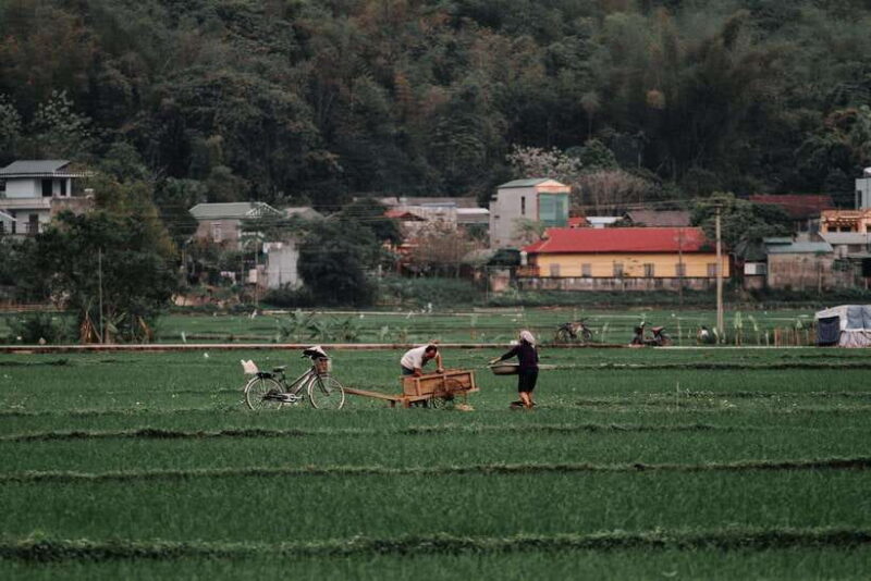 Explore Mai Chau 1 Day from Hanoi - Key Points