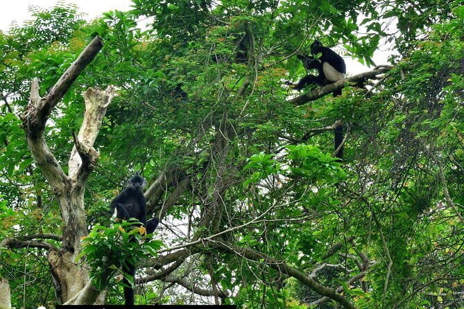 Explore Mai Chaus Natural Beauty: Full-Day Group Tour - FAQ