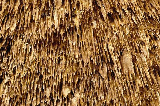 Explore Mallorca: Majorica Pearl Shop and Caves of Drach - What to Expect During the Classical Music Performance