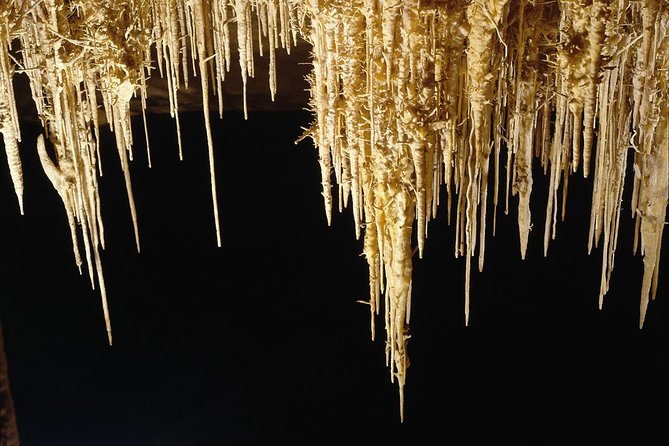 Explore Mallorca: Majorica Pearl Shop and Caves of Drach - Tips for Making the Most of Your Mallorcan Adventure