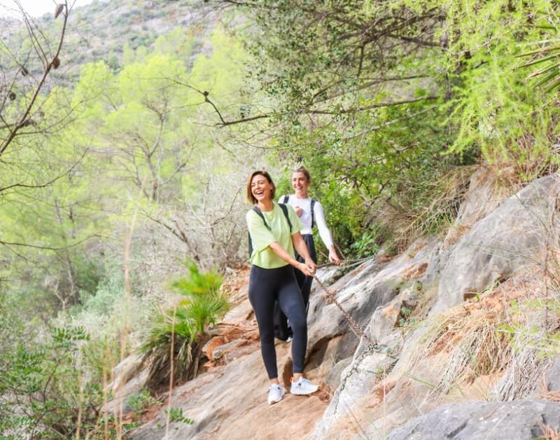Explore Marbella's Nature: Guided Hiking And Foraging Trip - Key Points