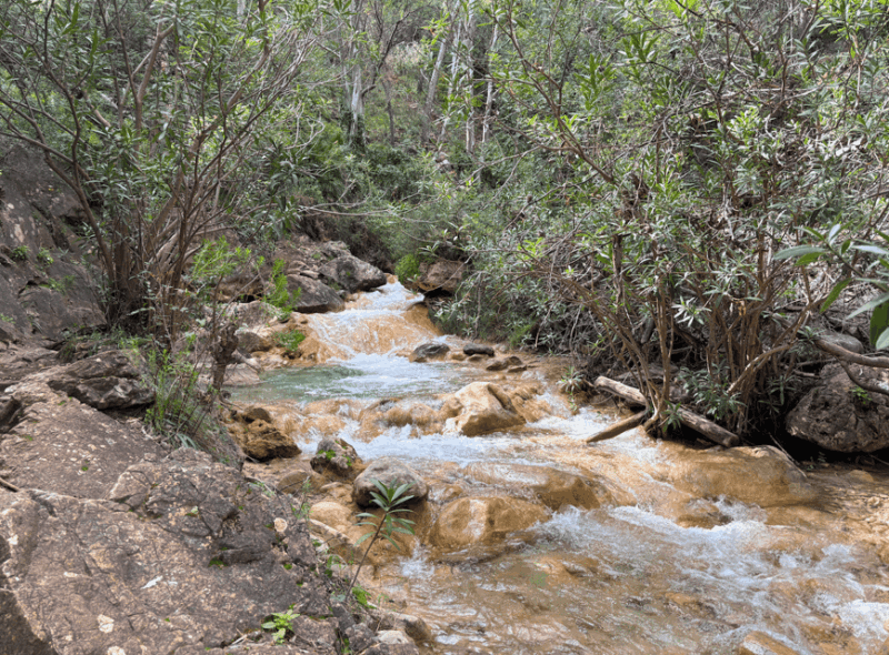Explore Marbella's Nature: Guided Hiking And Foraging Trip - The Practicalities: What You Need to Know
