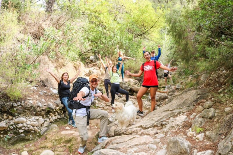 Explore Marbella's Nature: Guided Hiking And Foraging Trip - What the Reviews Say